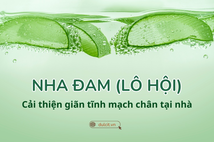 Lô hội chữa suy giãn tĩnh mạch - hiệu quả ra sao?